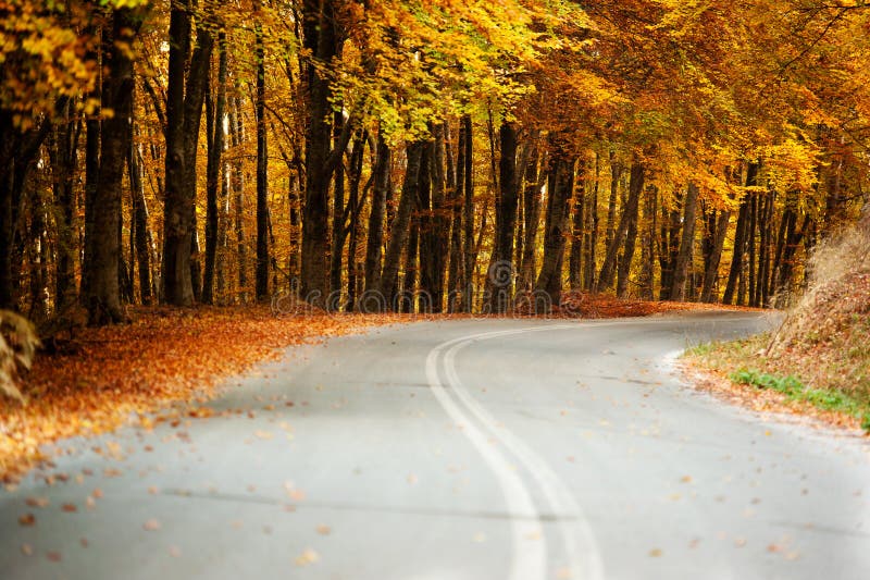Autumn road stock image. Image of vanishing, diminishing - 21963981