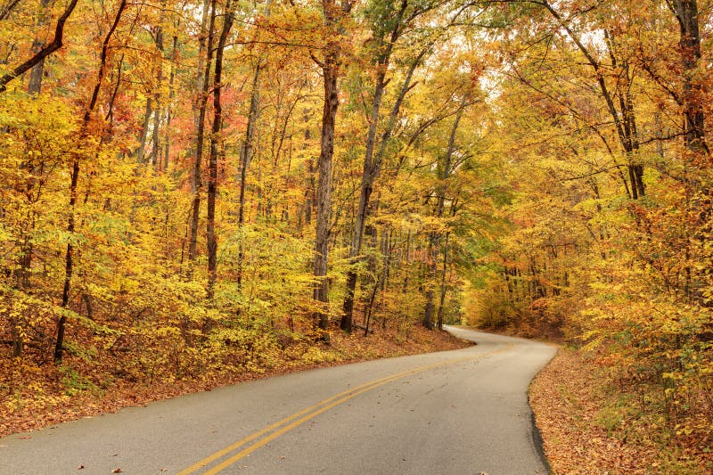 Autumn road with biker stock photo. Image of pavement - 11596042