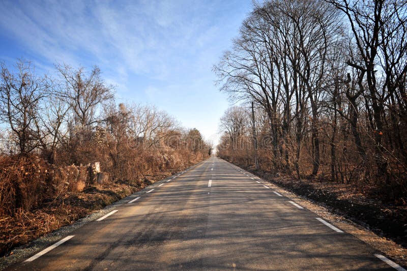 Autumn Road in a City at Night, Trees with Yellow Leaves Stock Photo ...