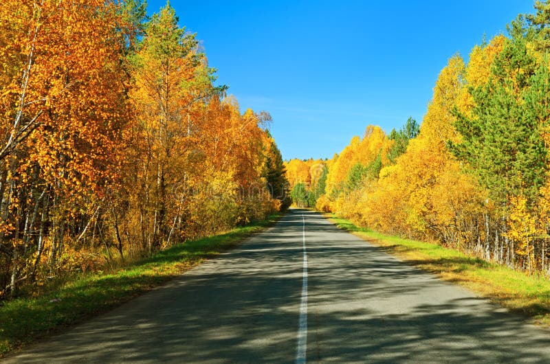 Autumn road. stock image. Image of landscape, october - 26484435