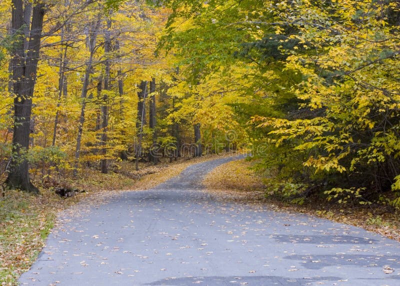 Autumn Road stock photo. Image of scenic, fall, november - 3580062