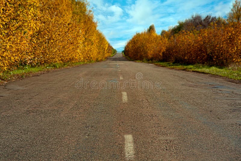 Autumn road stock photo. Image of autumn, trail, yellow - 37989994