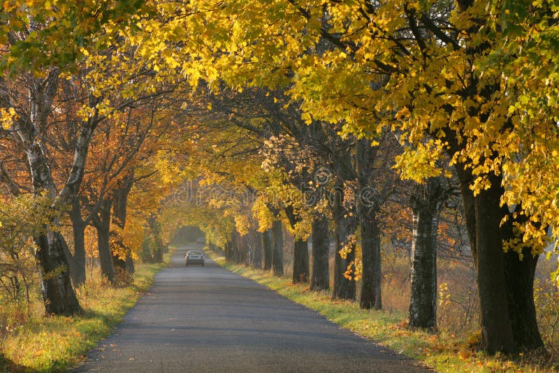 Autumn road. stock photo. Image of european, ornamental - 3910994