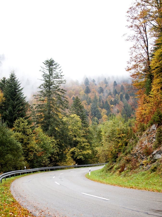 Autumn road stock image. Image of road, yellow, cloud - 5971089