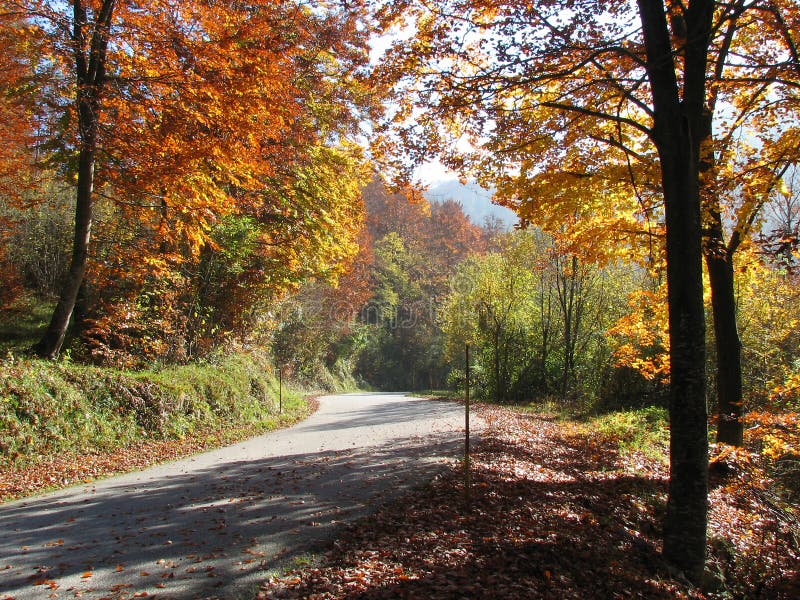 Autumn road stock photo. Image of colorful, light, road - 695092