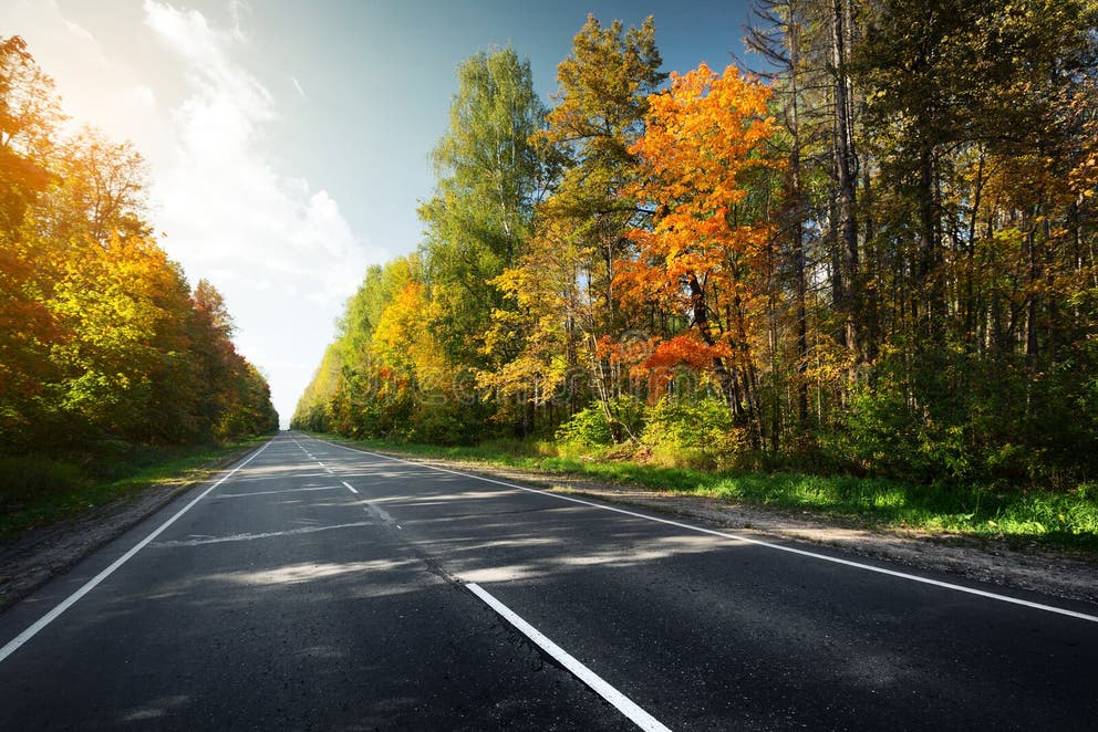 Autumn road stock photo. Image of fall, season, road - 48752260