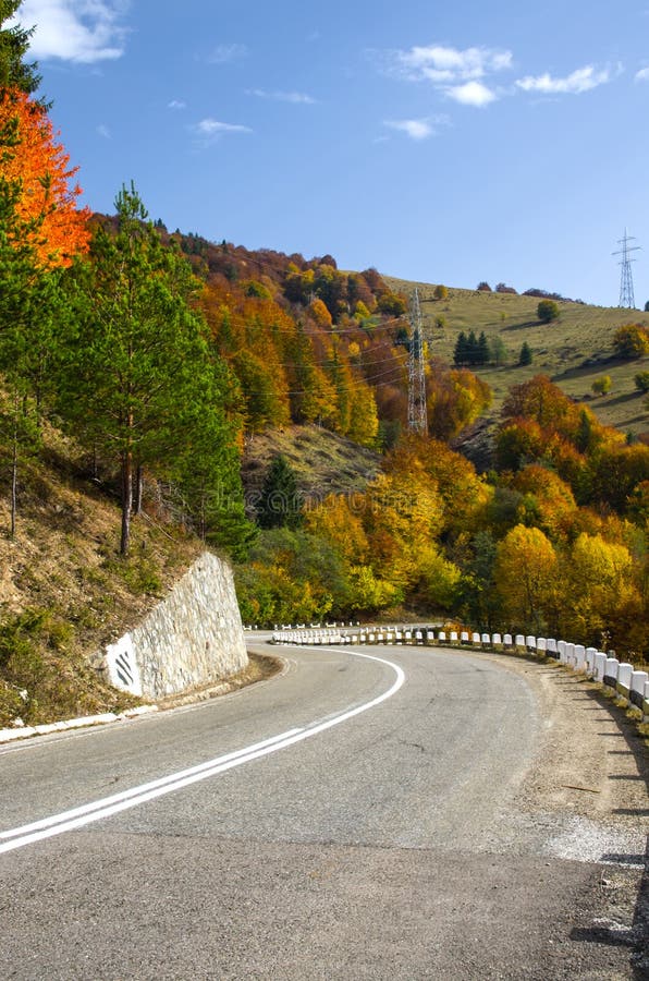 Autumn road stock photo. Image of foliage, bare, nature - 46317492