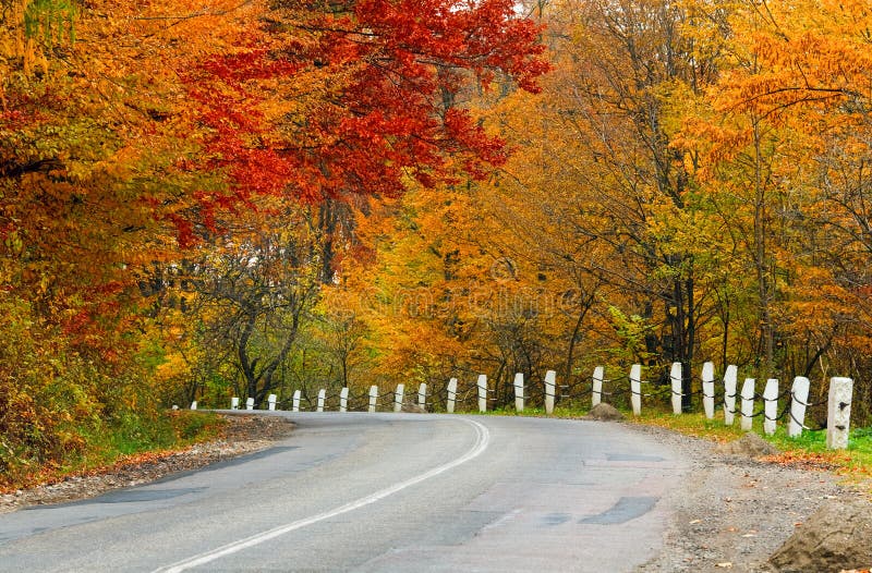 Country Road Fall stock photo. Image of beautiful, blacktop - 45763854