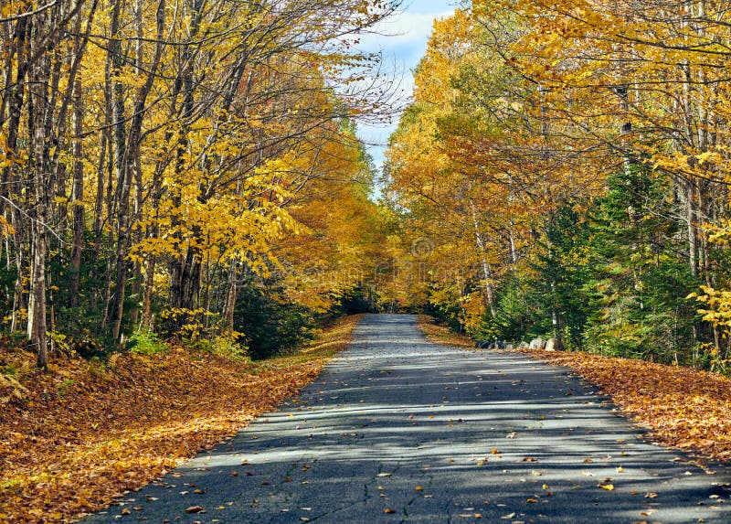 Autumn road in Maine stock image. Image of orange, countryside - 155222673