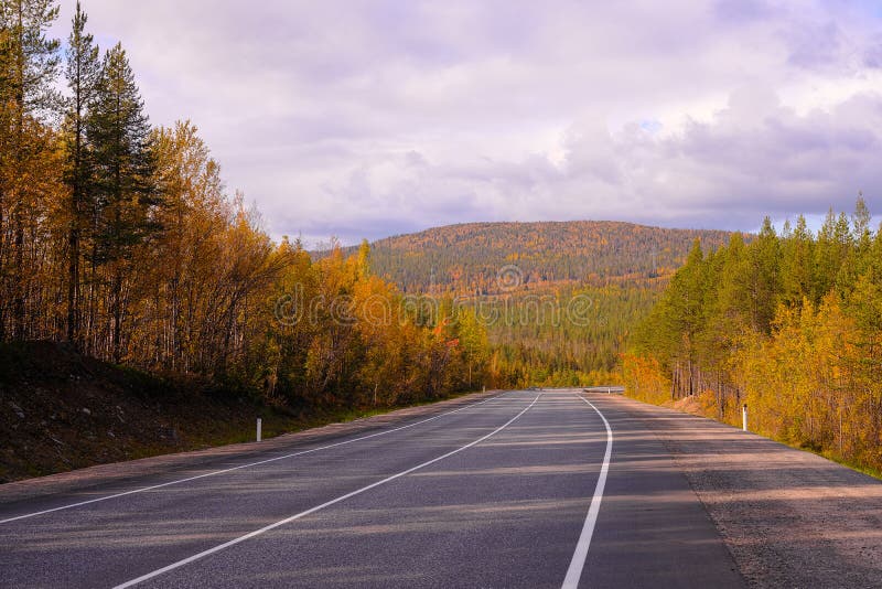 Horizontal Road Landscape