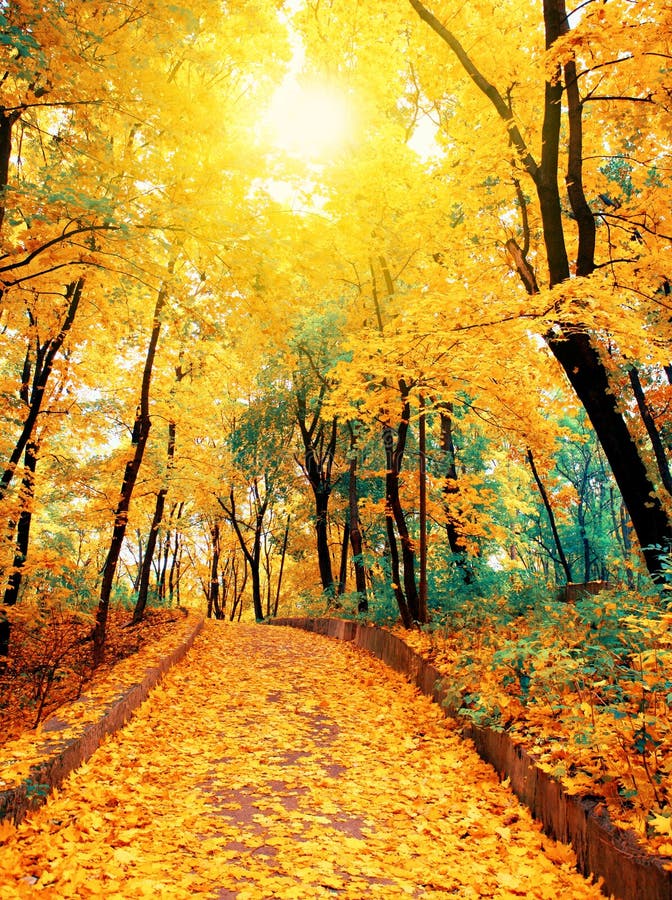 Pathway in the Fall stock image. Image of ground, garden - 2752207