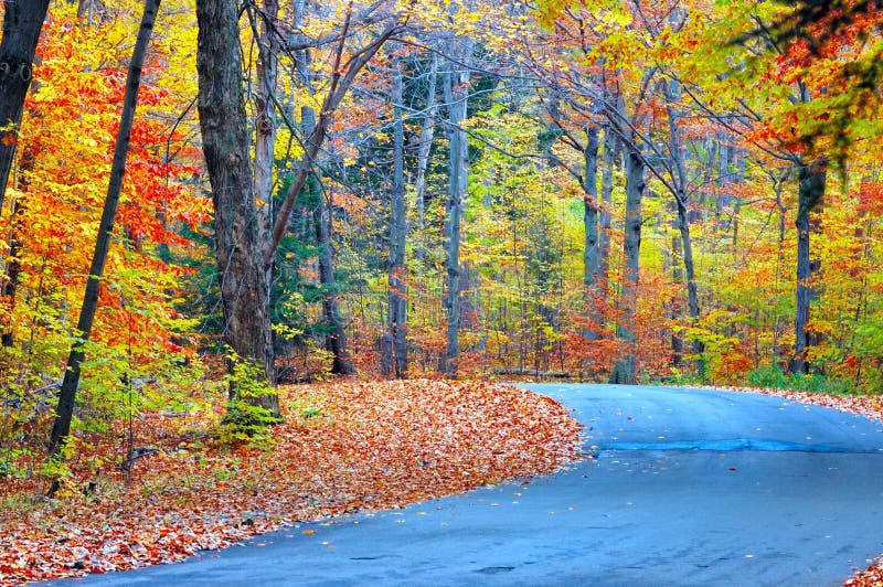 Autumn Road stock photo. Image of road, fall, countryside - 33477518