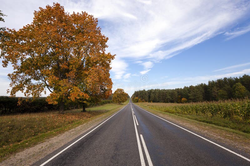 The autumn road stock photo. Image of autumn, plant, curve - 54779950