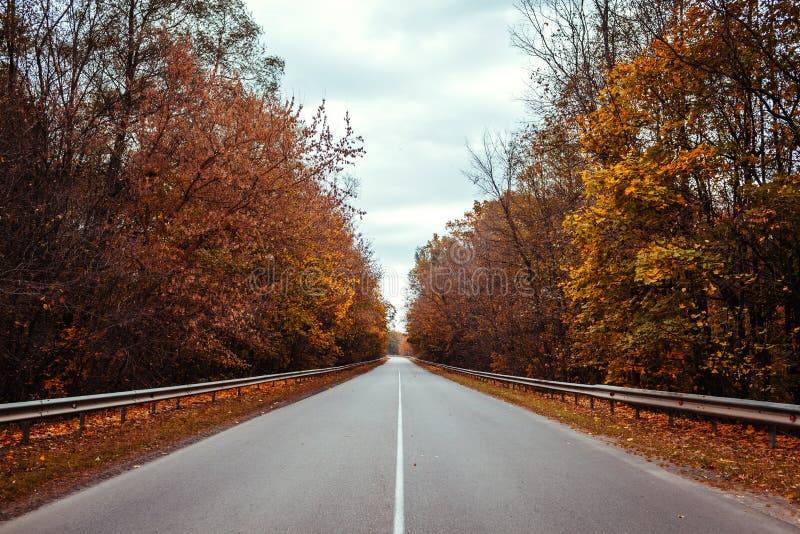 Autumn Road Surrounded with Trees. Empty Highway with Chippers on ...