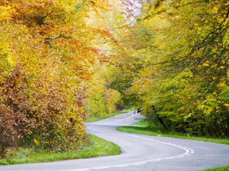 Autumn road stock photo. Image of highway, nature, leaf - 50985022