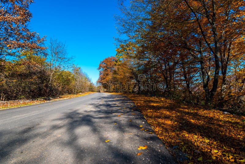 Autumn road stock image. Image of foliage, blue, gold - 80928855