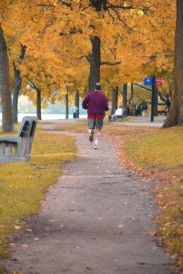 Autumn Run stock photo. Image of cool, healthy, golden - 241822
