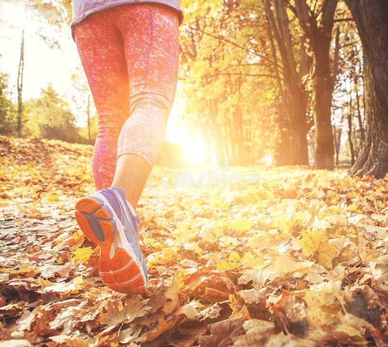 Autumn Runner Legs Close Up Image Stock Image - Image of autumn ...