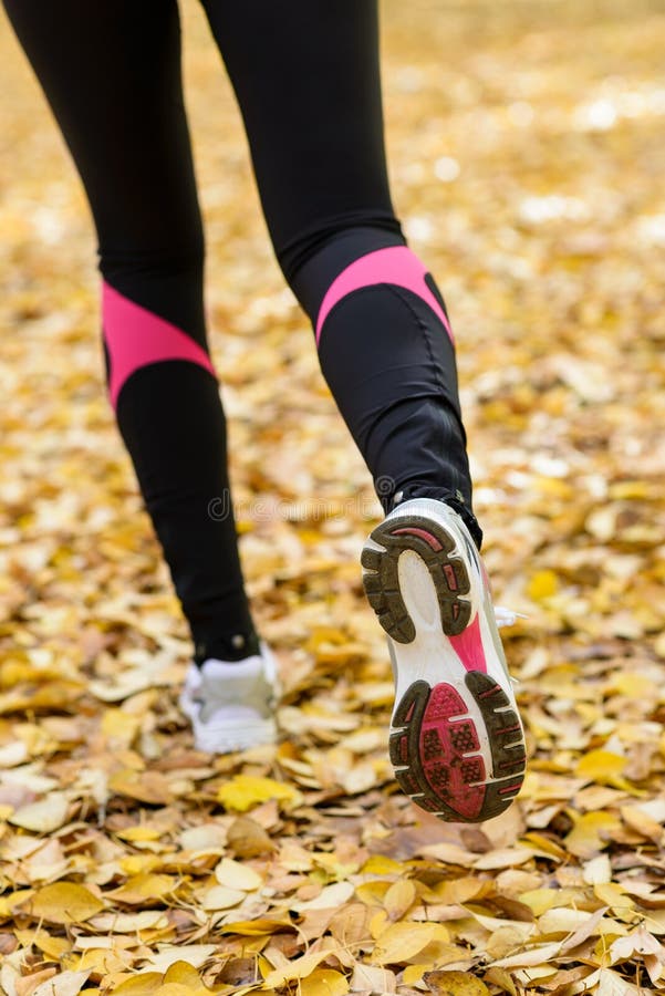 Autumn running stock image. Image of athlete, nature - 27680305