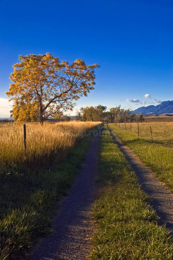 Autumn Rural Country Road in Boulder Colorado Stock Photo - Image of ...