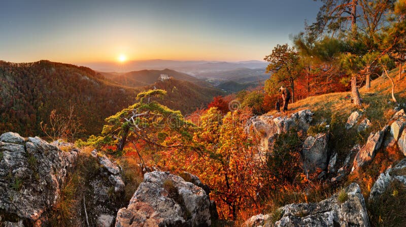 Autumn Rural Forest Landscape at Sunset Stock Image - Image of ...