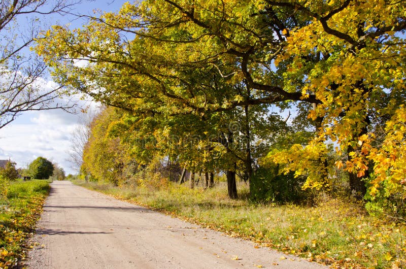 Autumn rural landscape stock image. Image of maple, foliage - 21820489