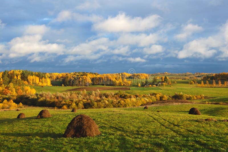 Autumn rural landscape stock photo. Image of horizon, scene - 3568388