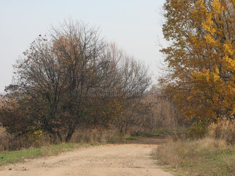 Autumn rural road stock photo. Image of dirt, deciduous - 155517408