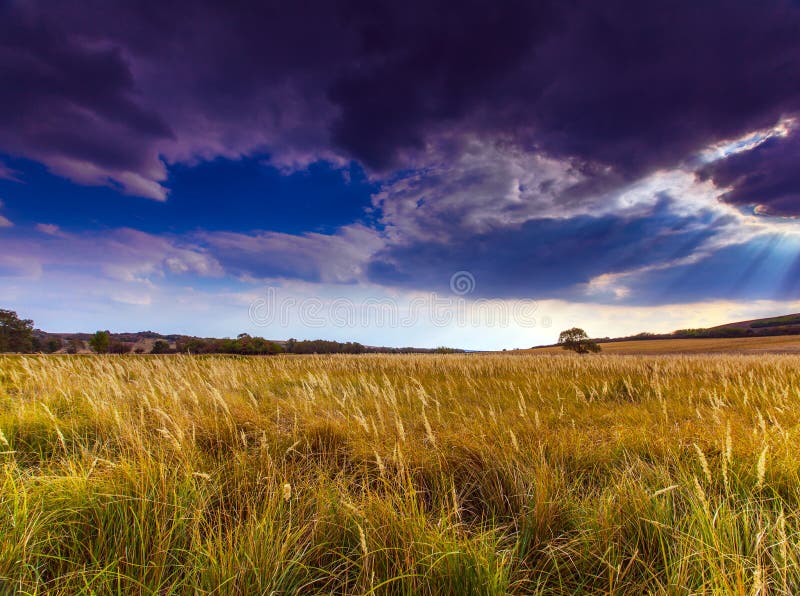 Autumn Rural Scenery with Stormy Sky Stock Photo - Image of cumulus ...