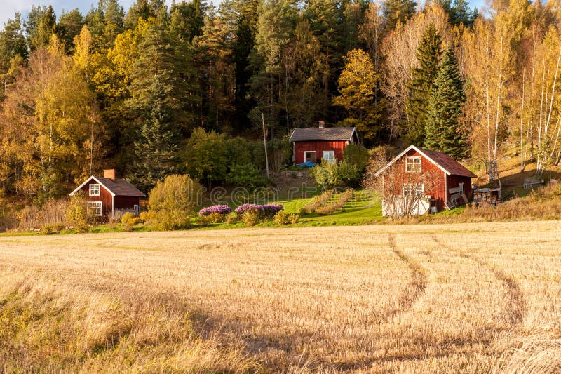 Autumn in rural Sweden stock photo. Image of farm, norrkapara - 113991332