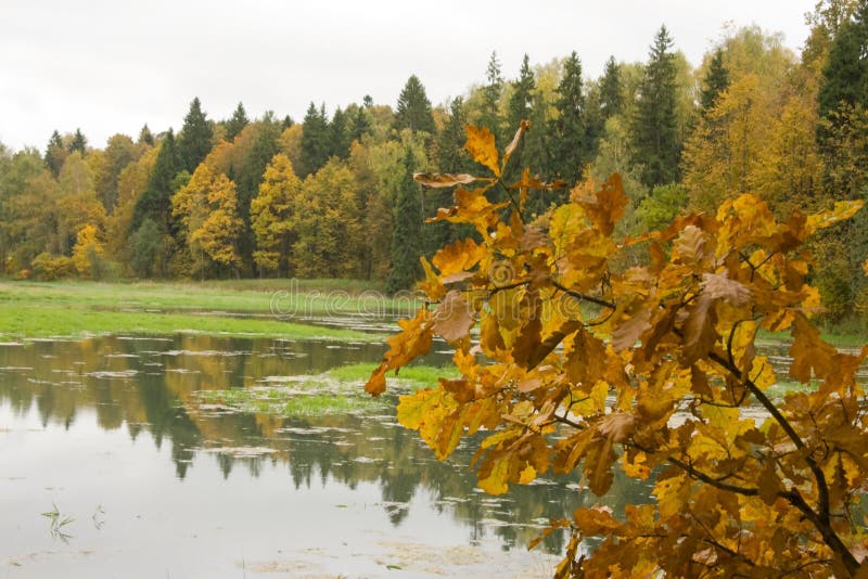 Autumn in Russia stock photo. Image of outdoor, tree - 15300444
