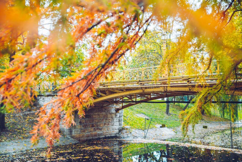 Autumn Rustic Forest Landscape. Park with River Stock Image - Image of ...