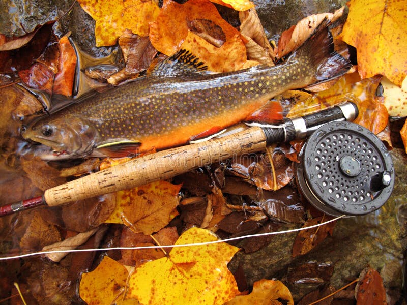 Autumn Fly Fishing stock photo. Image of fishing, sports - 3510660