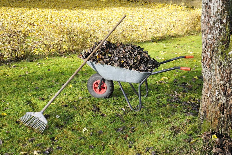 Autumn s garden cleaning stock photo. Image of november - 16912742