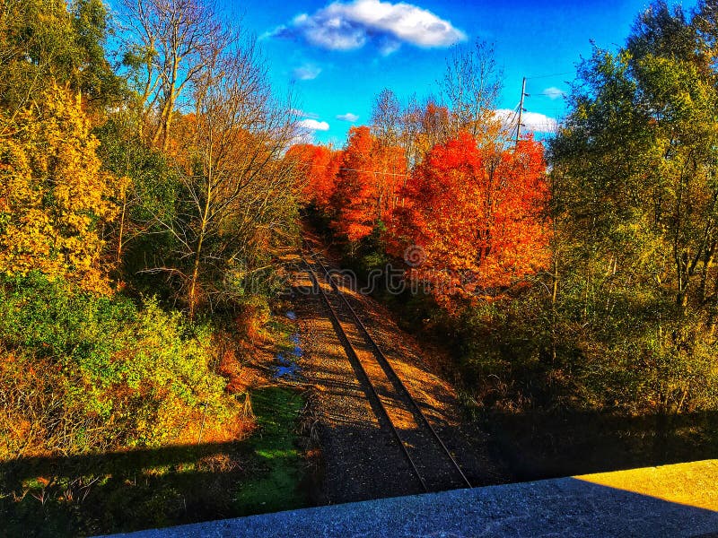 Autumnâ€™s tracks stock image. Image of colored, tracks - 263706797
