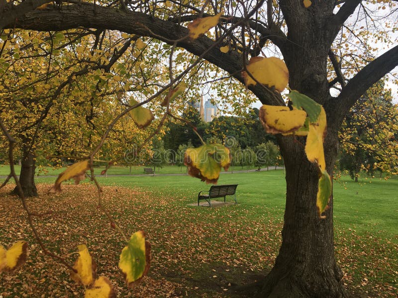 Autumn stock photo. Image of losts, autumn, tree - 94990902