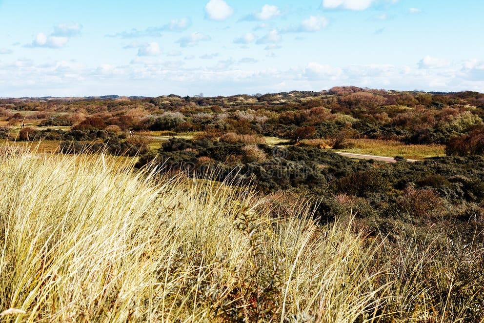 Autumn Sand Dune stock image. Image of daytime, quiet - 27080051