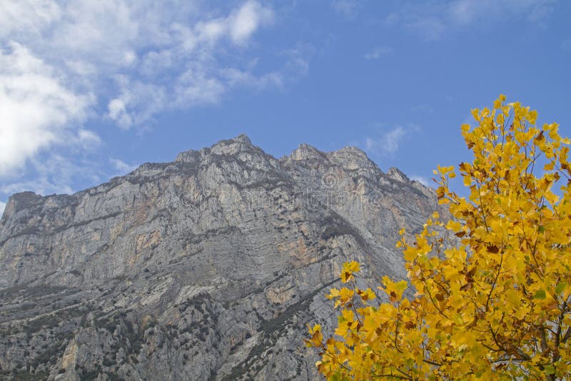 Autumn in the Sarca Valley stock photo. Image of maple - 137747602