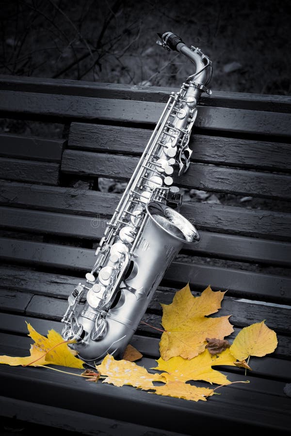 Autumn saxophone stock image. Image of grief, instrument - 6892529