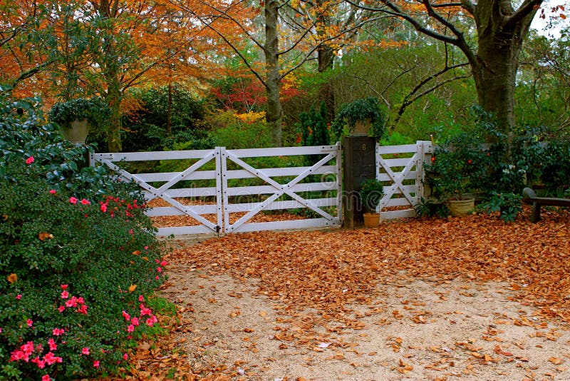 Autumn Scene stock image. Image of white, season, road - 15010153