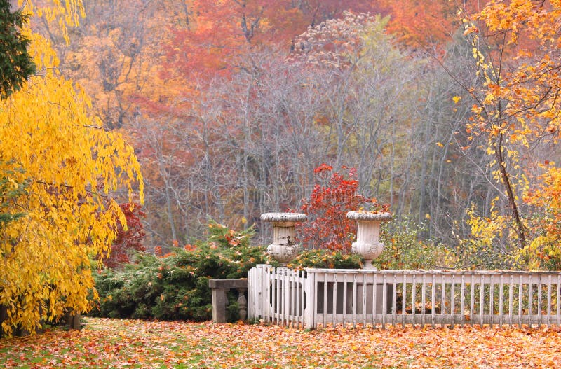 Outdoor Fall Scene stock photo. Image of flowers, green - 11232448