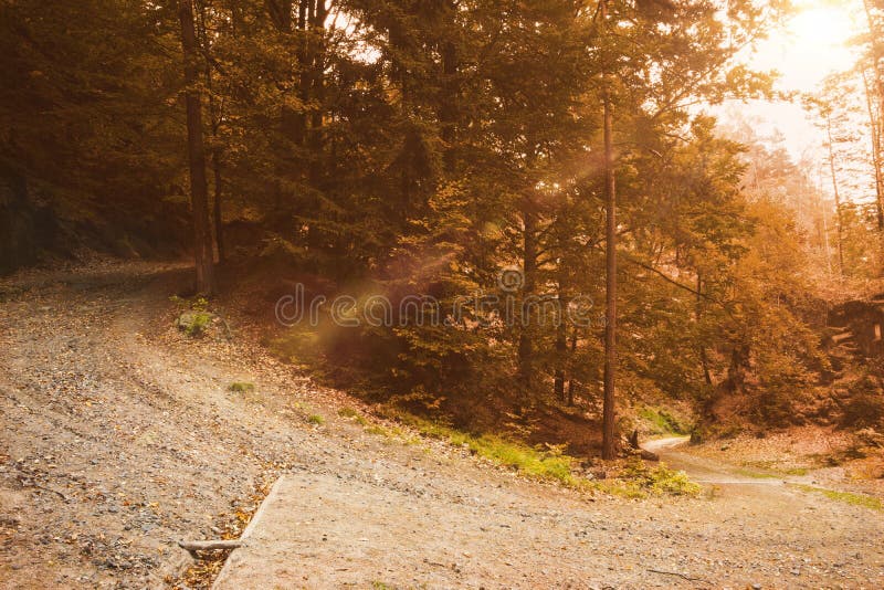 Autumn scene stock image. Image of nature, sunlight - 255328493