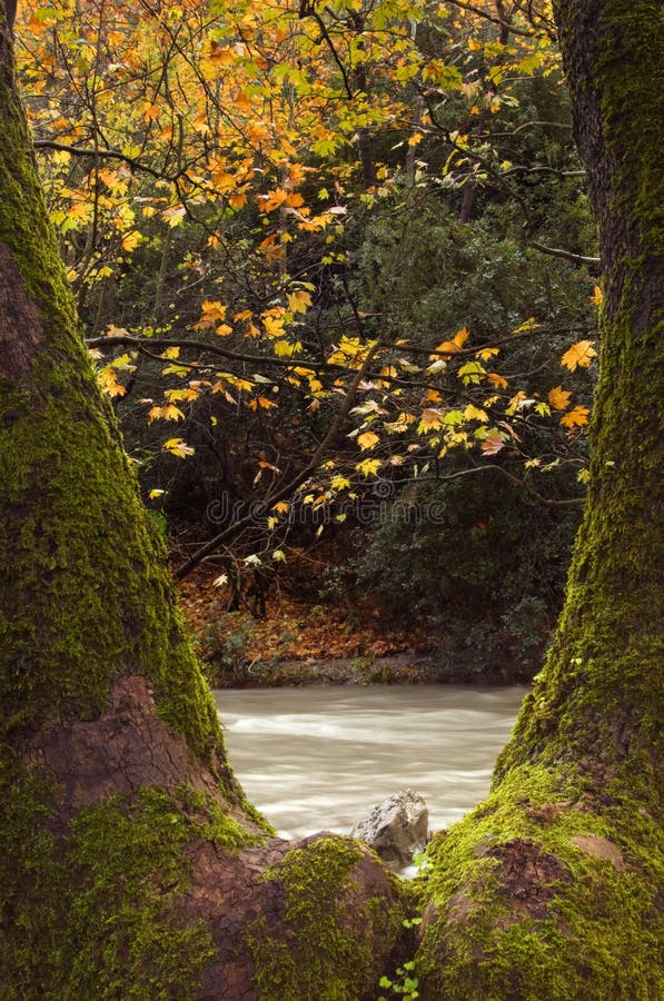 Autumn scene stock photo. Image of exposure, october, greece - 2941344