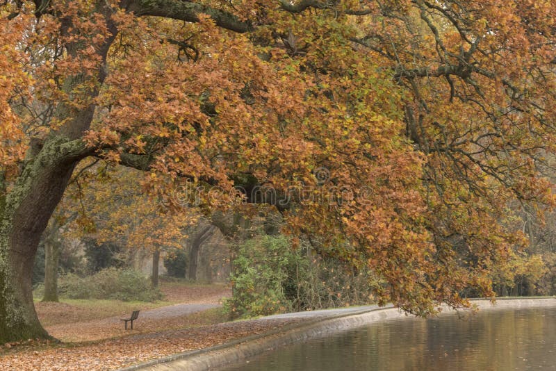 Autumn at the Boating Lake, Southampton Common Stock Image - Image of ...