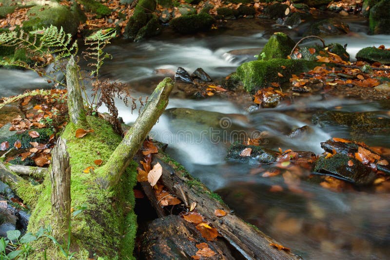 Autumn Scene with Cascading Waterfall Stock Image - Image of nature ...
