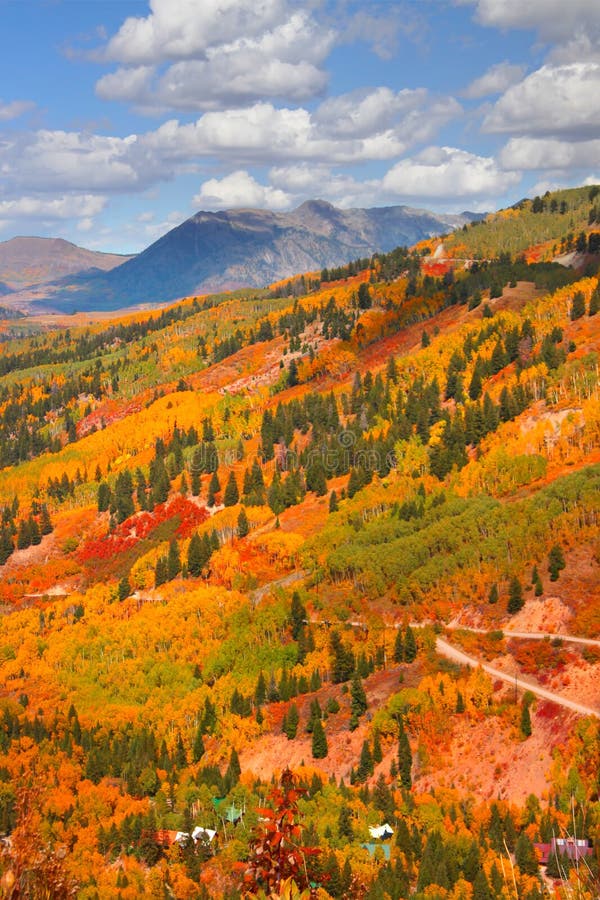 Autumn scene in Colorado stock image. Image of color - 18738703