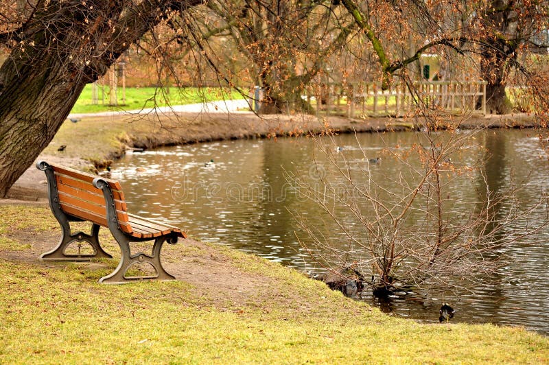 Autumn Scene with Fall Atmosphere Stock Photo - Image of lonely ...