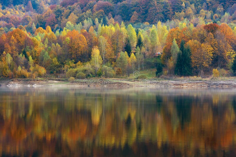 Autumn Scene, Forest Reflection in Water in Autumn Stock Image - Image ...