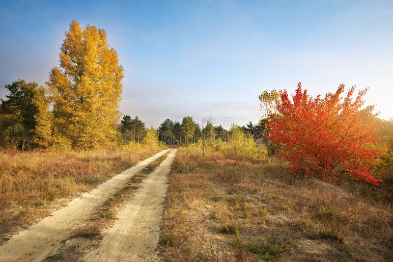 Autumn scene stock image. Image of green, beautiful, park - 45760803