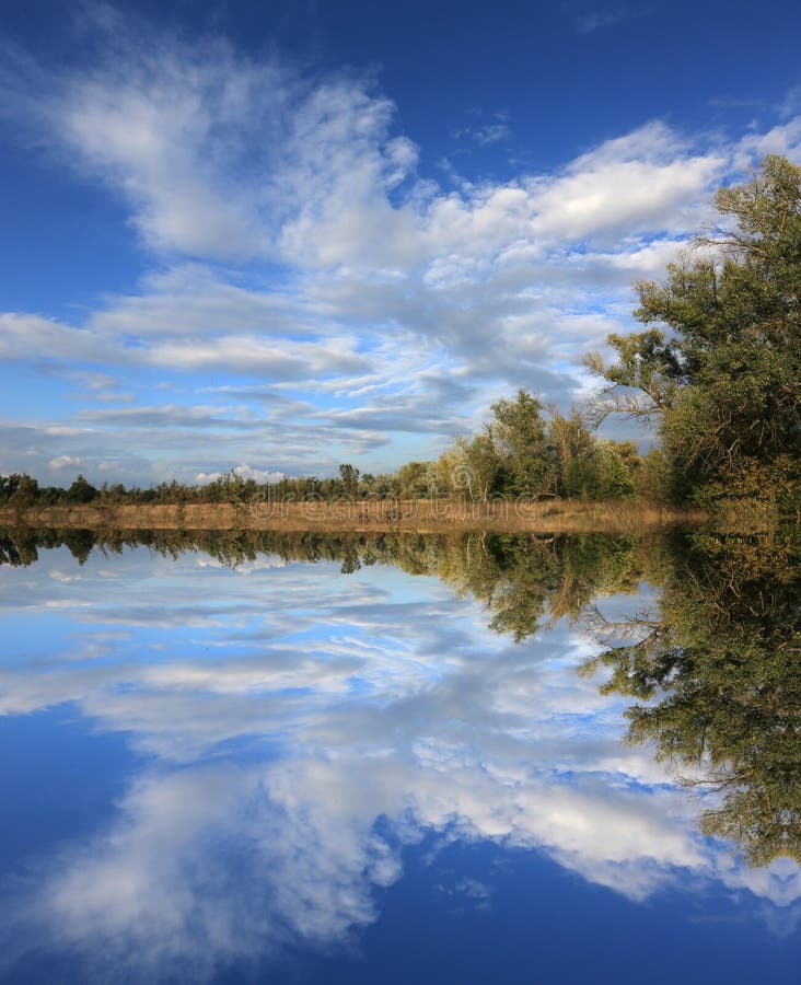 Autumn Scene in Forest with Water Reflection Stock Photo - Image of ...